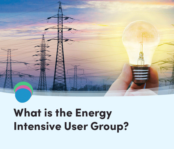 What is the Energy Intensive User Group? | Utility Saving Expert