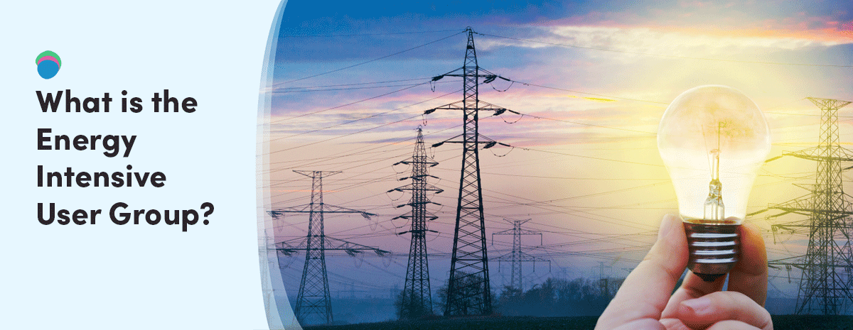 What is the Energy Intensive User Group? | Utility Saving Expert